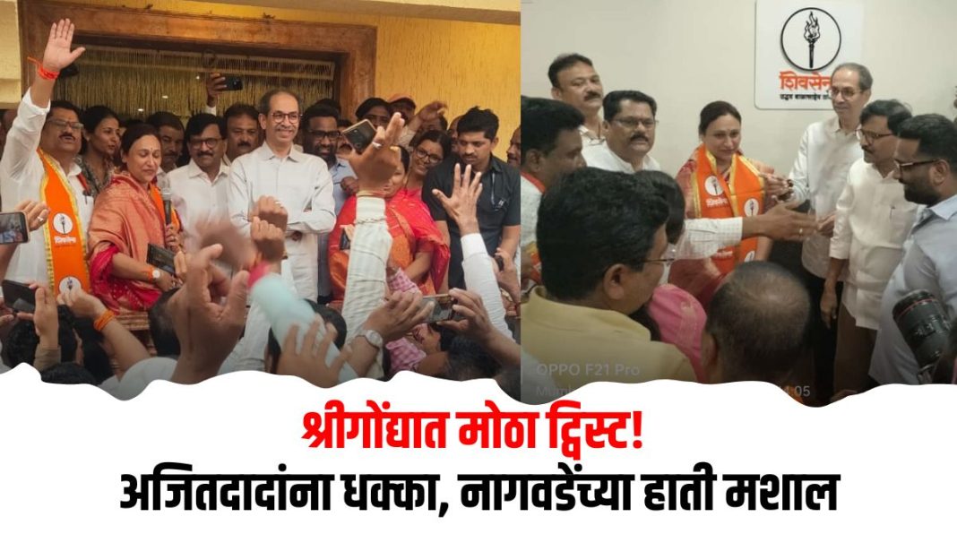 Shrigonda Political: श्रीगोंद्यात मोठा ट्विस्ट! अजितदादांना धक्का, नागवडेंच्या हाती मशाल - Deshdoot