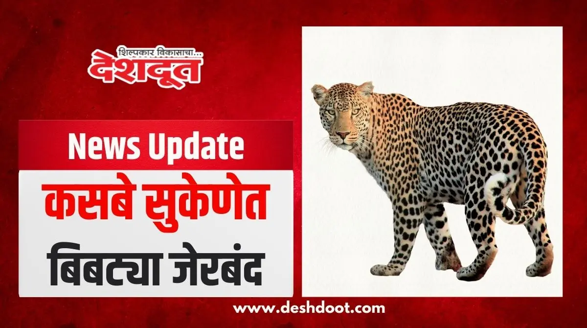 कसबे सुकेणेत बिबट्या जेरबंद - Deshdoot